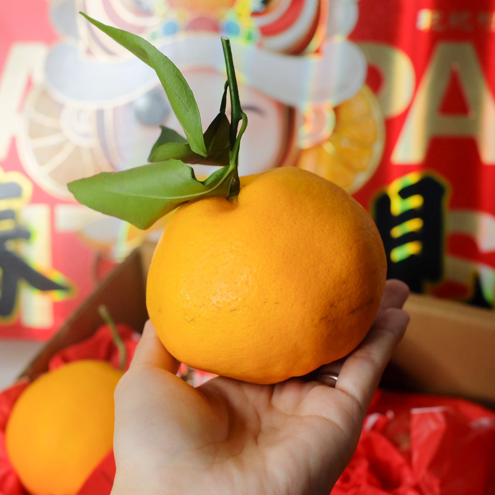 Ponkan Prosperity Pack – Juicery Philippines